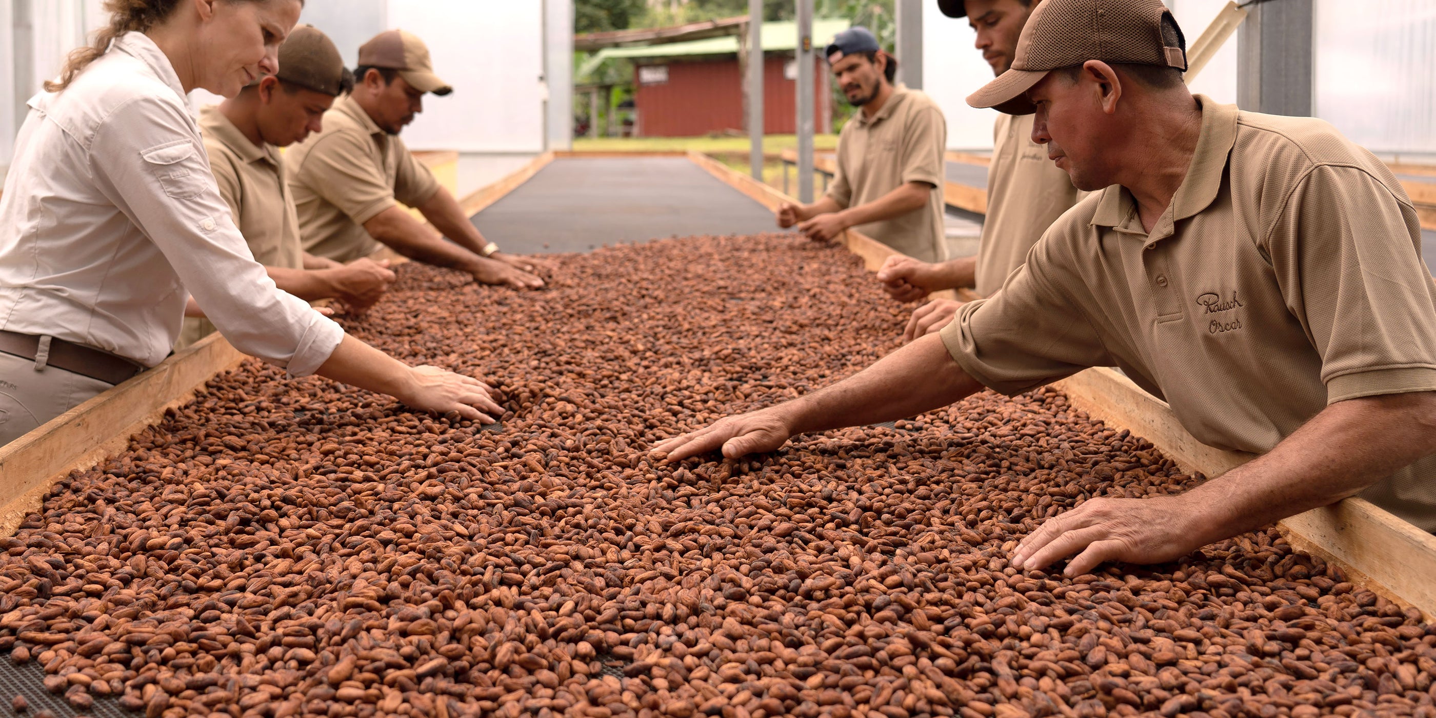 Rausch | Fine Cocoa Chocolate & Pralines online